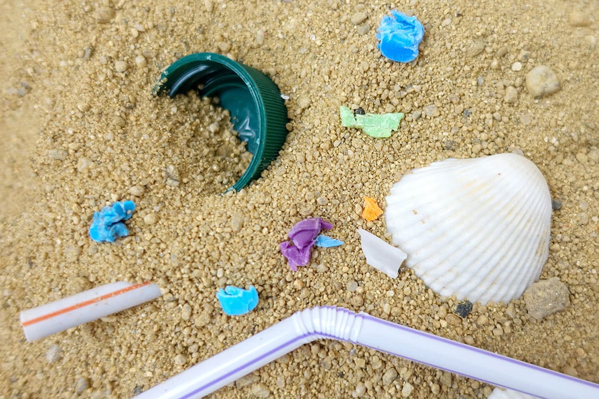 Camps and Youth Programs - UW-Green Bay