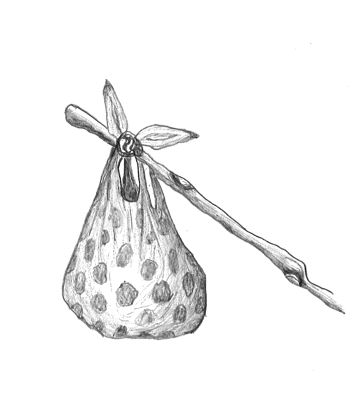 Projects - Teaching Press - UW-Green Bay