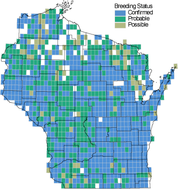 Egg Identification Query