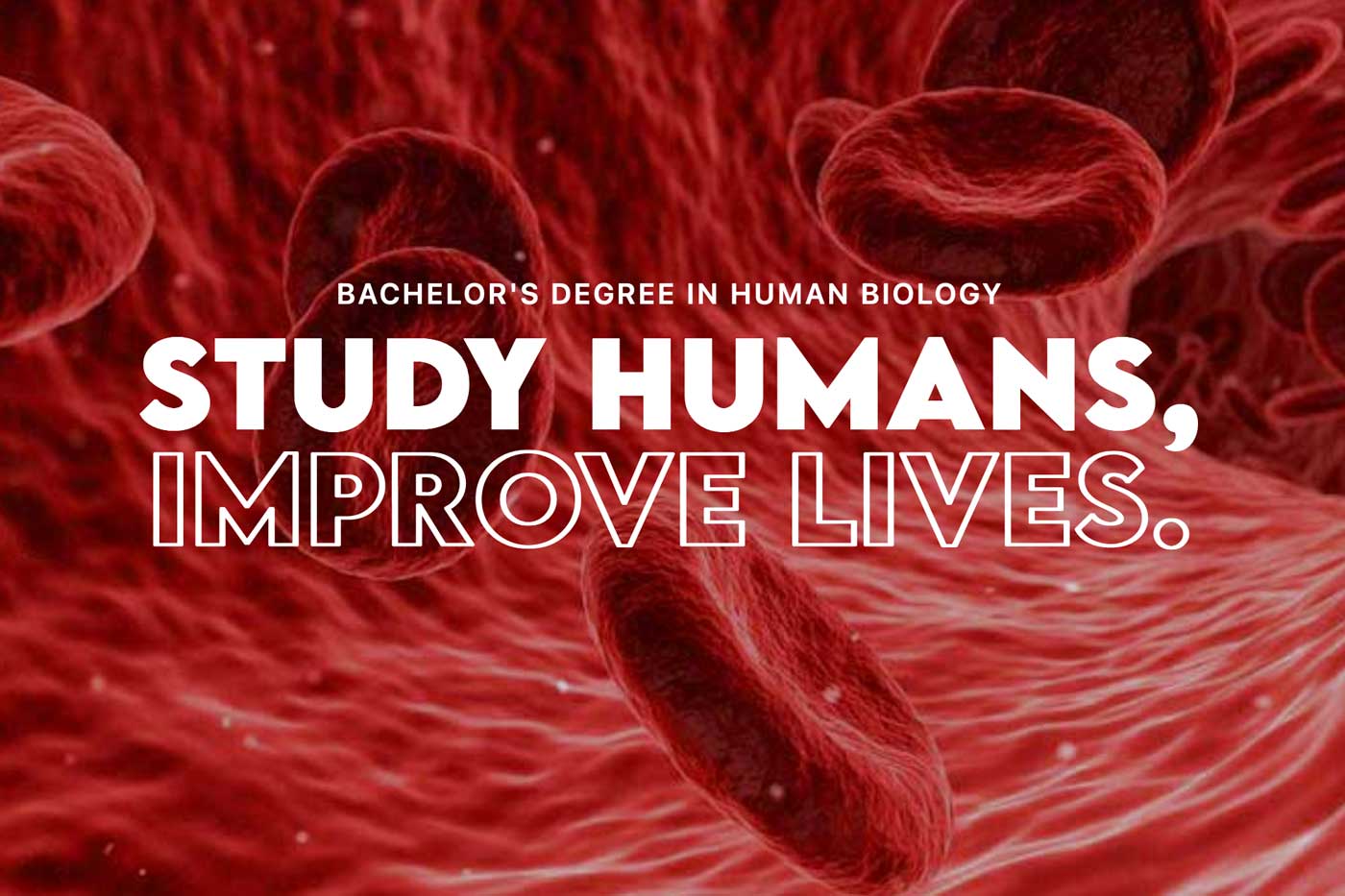 Human Biology - UW-Green Bay