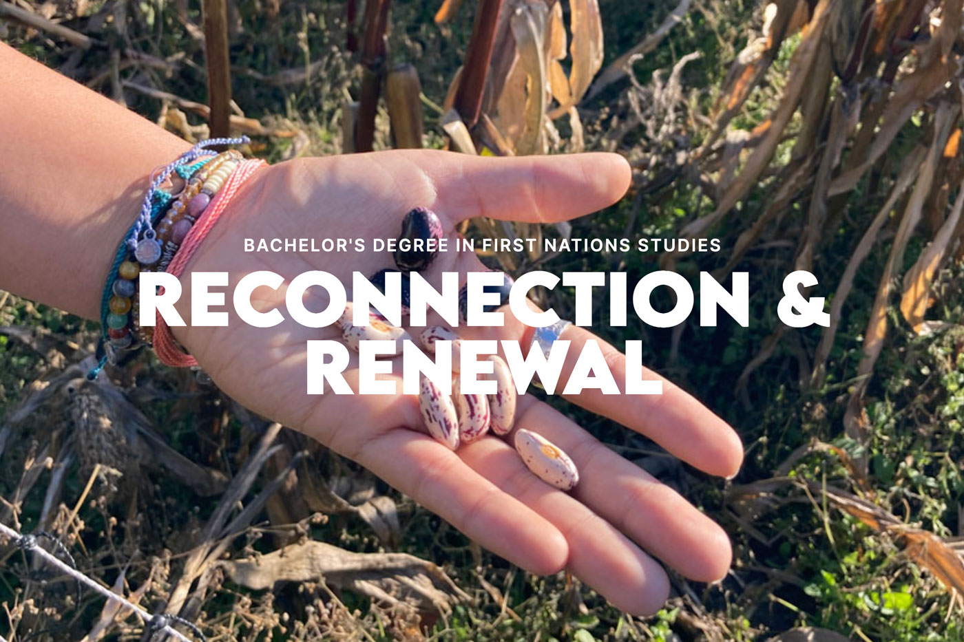 First Nations Studies - UW-Green Bay