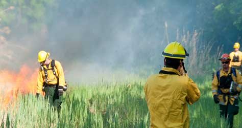 Environmental Science & Policy - UW-Green Bay